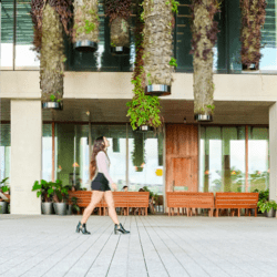 Constellation Culinary Group © 2018